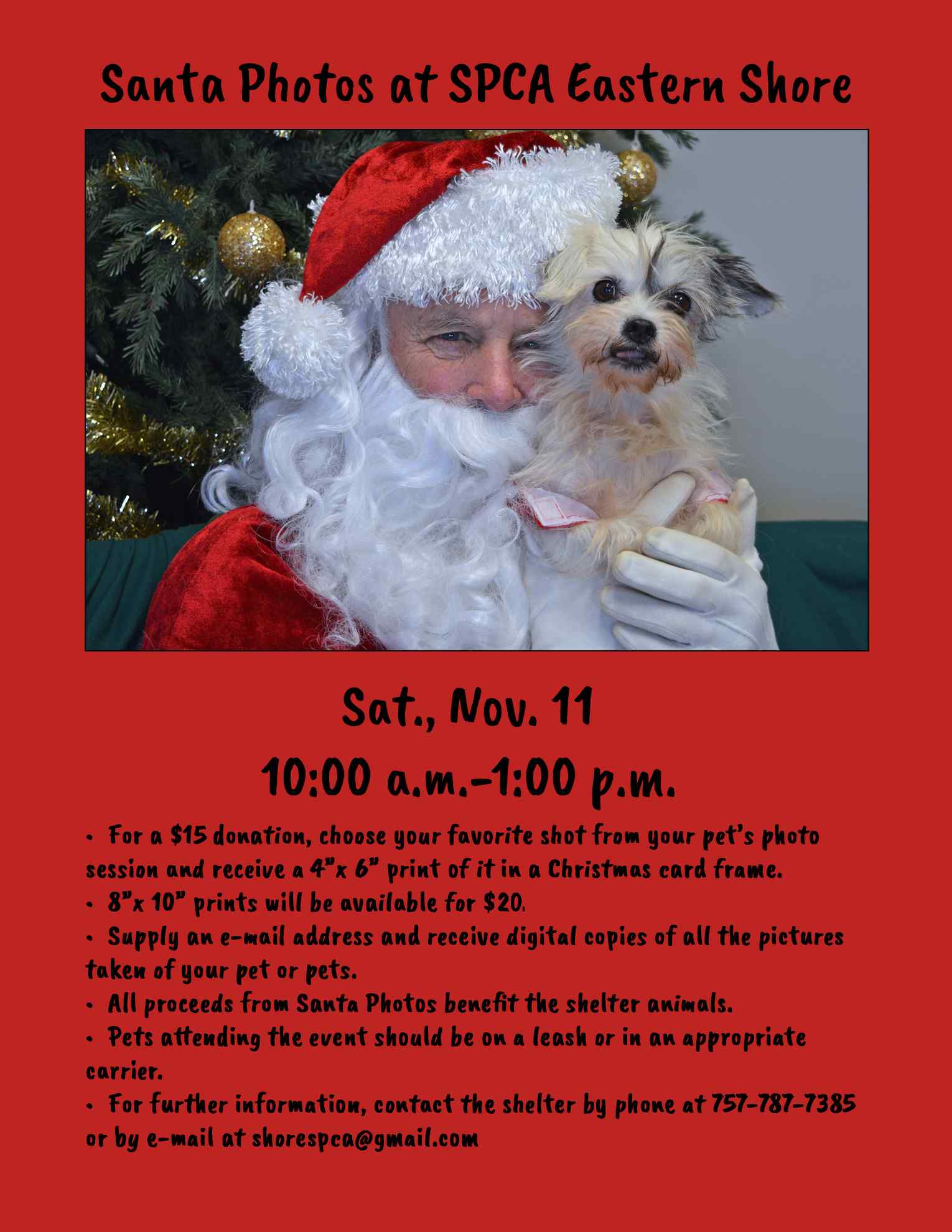 Santa Photos at SPCA Eastern Shore | WOW That's Country | 10 In a Row ...